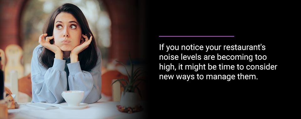 Learn How to Manage Noise Pollution in Your Restaurant
